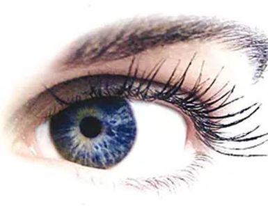 Stephen Evenett Optometrists | Opticians & Contact Lens Practitioners